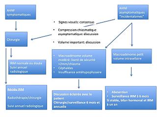 Adénomes hypophysaires - Campus de Neurochirurgie